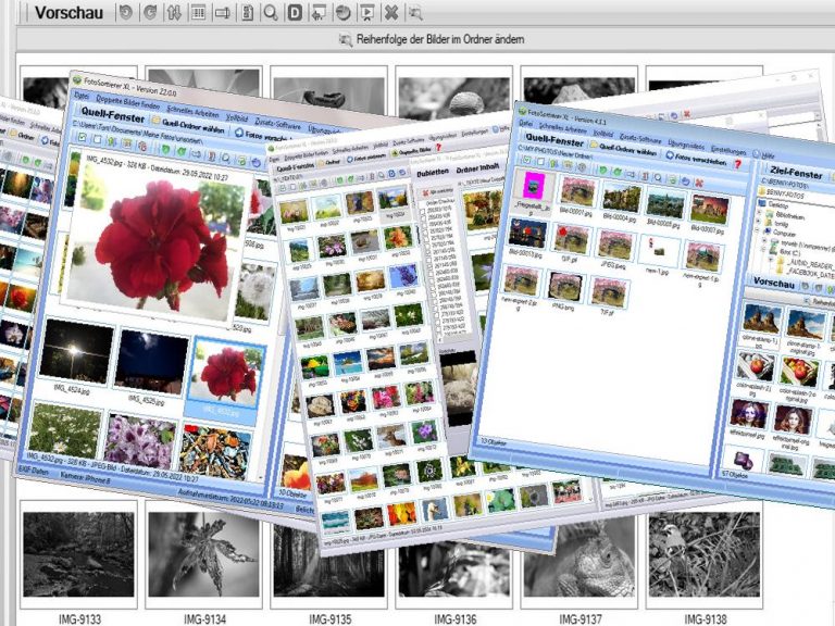Fotos sortieren - Guide inkl. Programme, Methoden & Anleitung