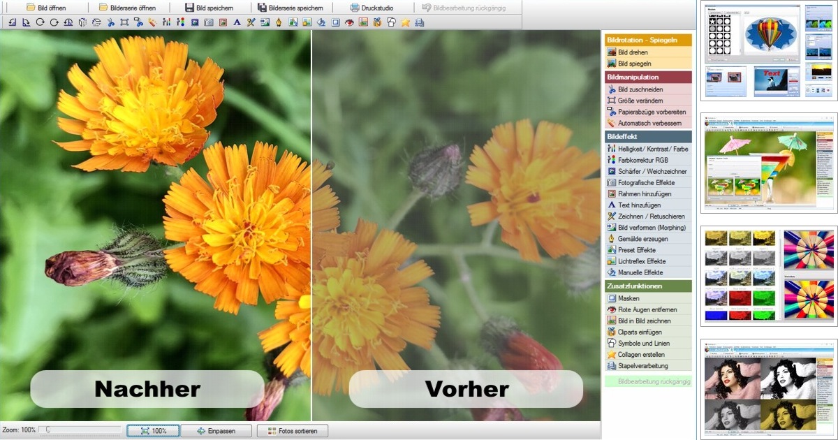 Bildbearbeitungsprogramm für Anfänger – 2026 Version